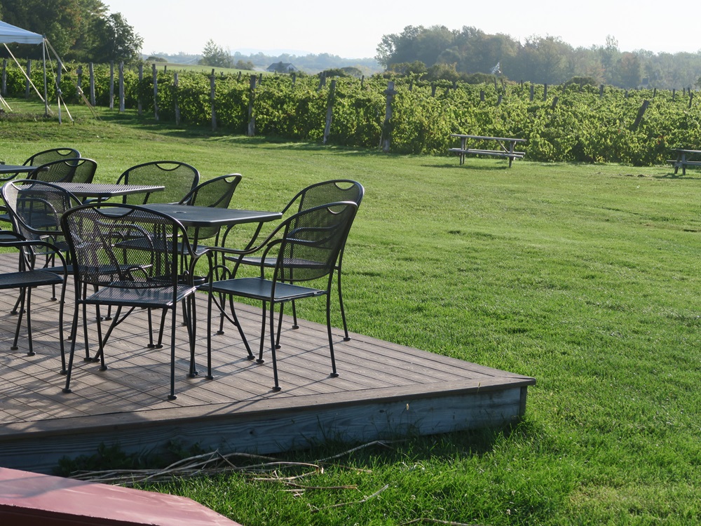 Experience a Wine Tasting at our Vermont Vineyard - Snow Farm Vineyard ...