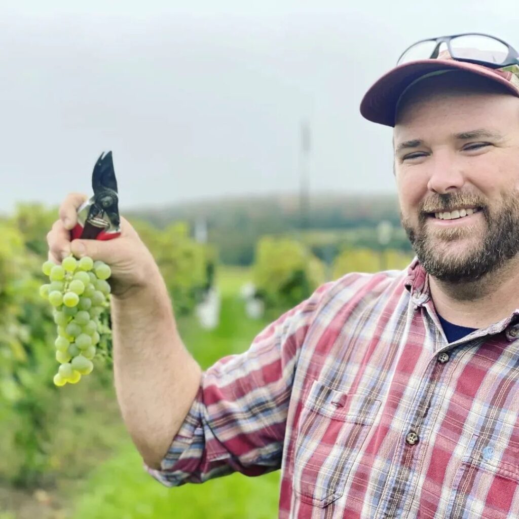 What Happens in the Fall in Vermont at the State's Oldest Vineyard ...
